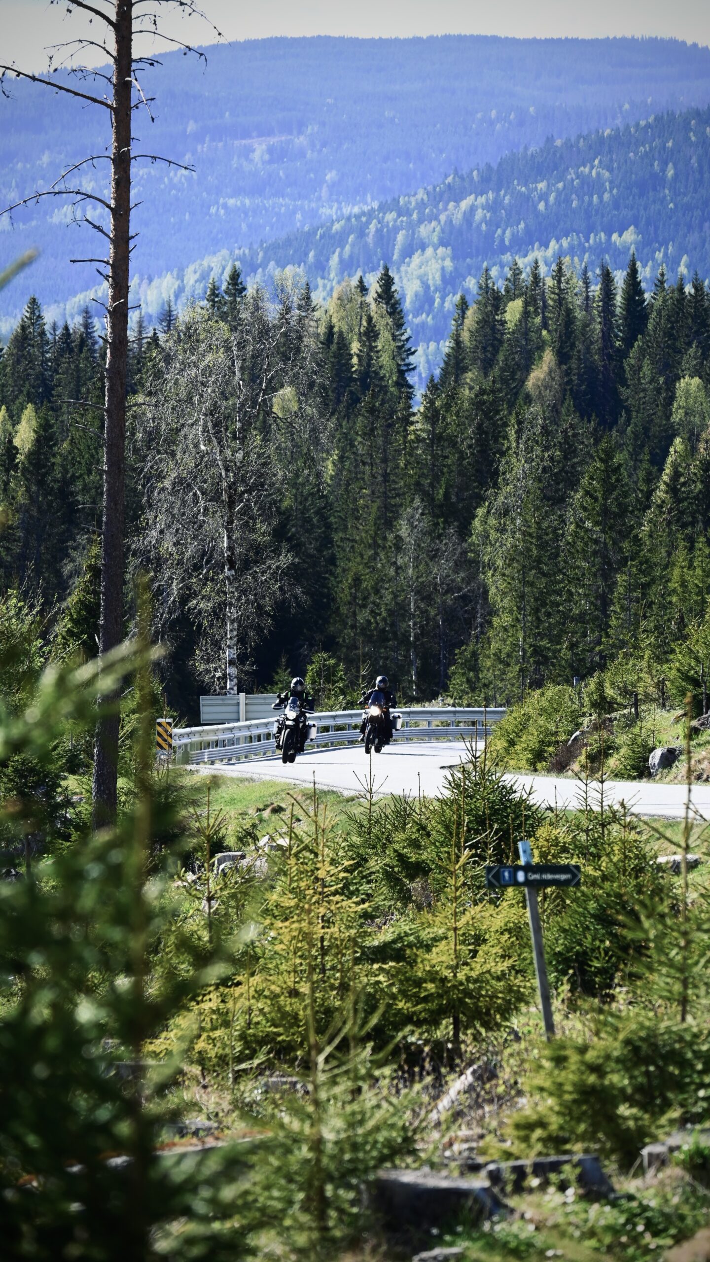 Motorcycle Tours Norway - Nordic Riders